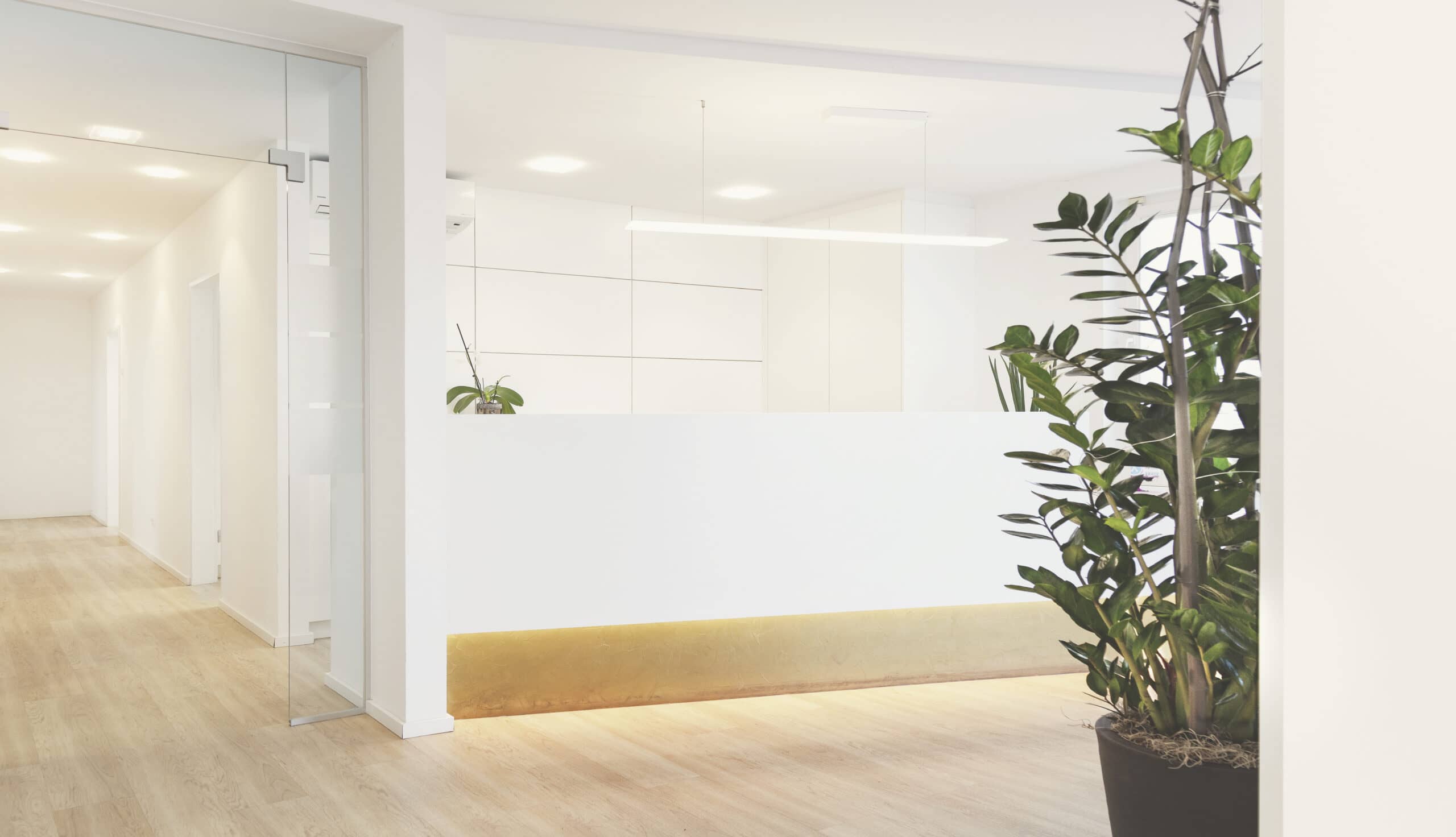 Kooperationen - Dr. Biberhofer